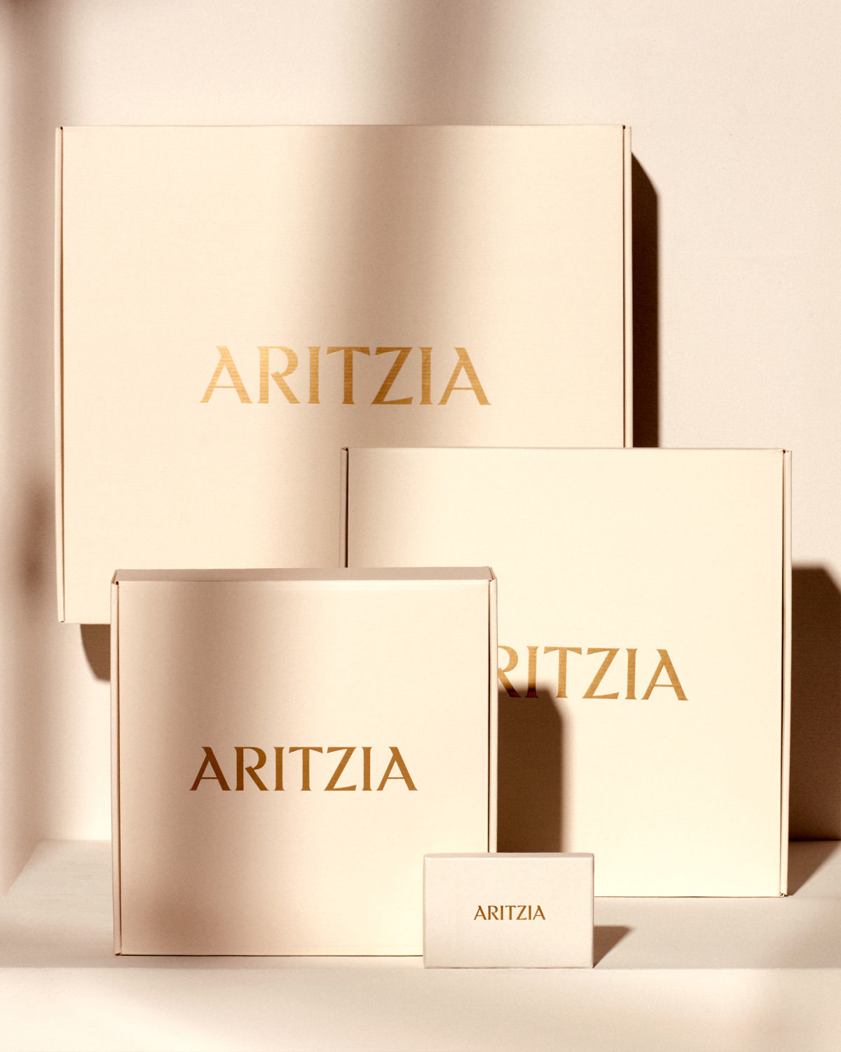 Aritzia — 2x4