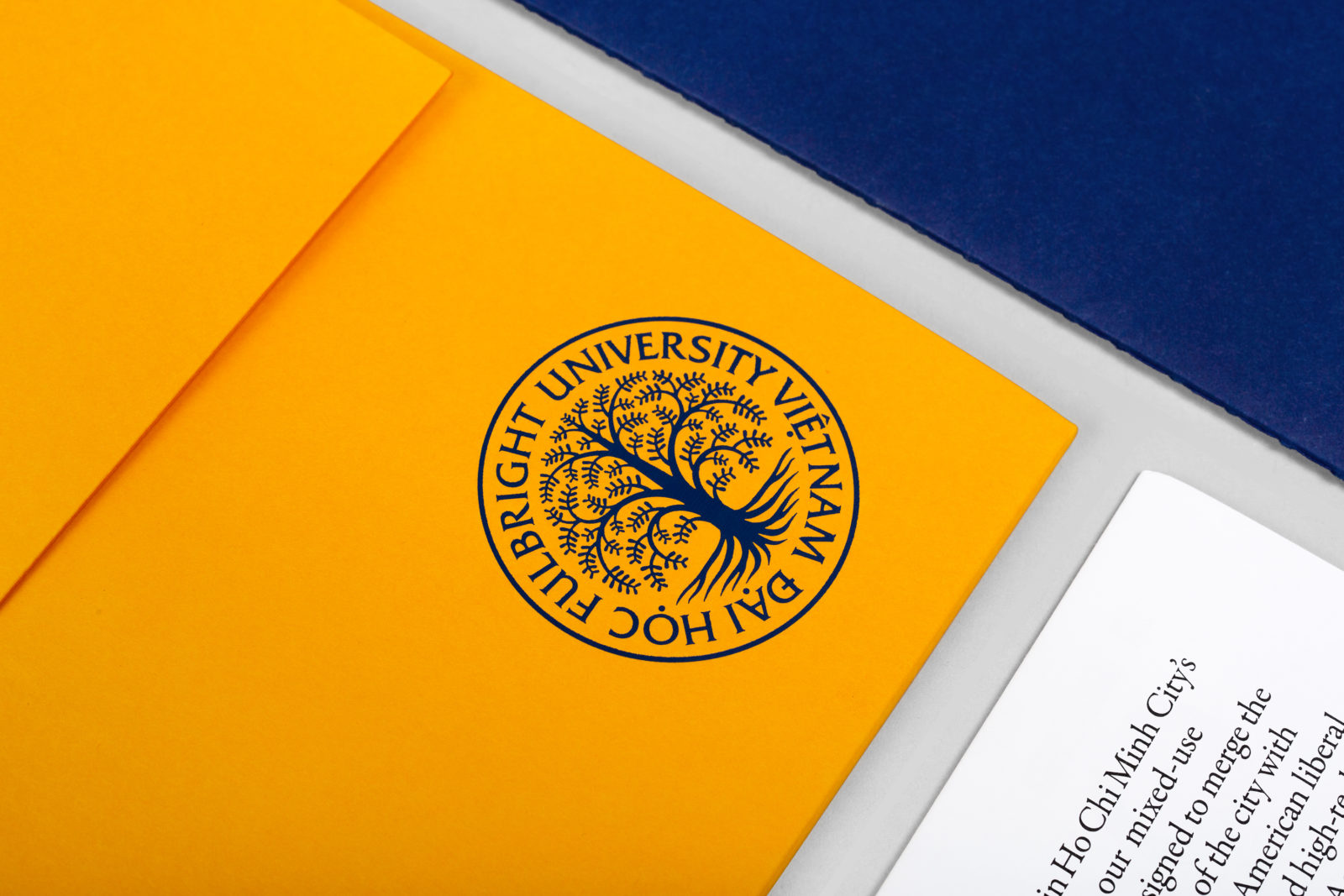 Fulbright University Vietnam — 2x4